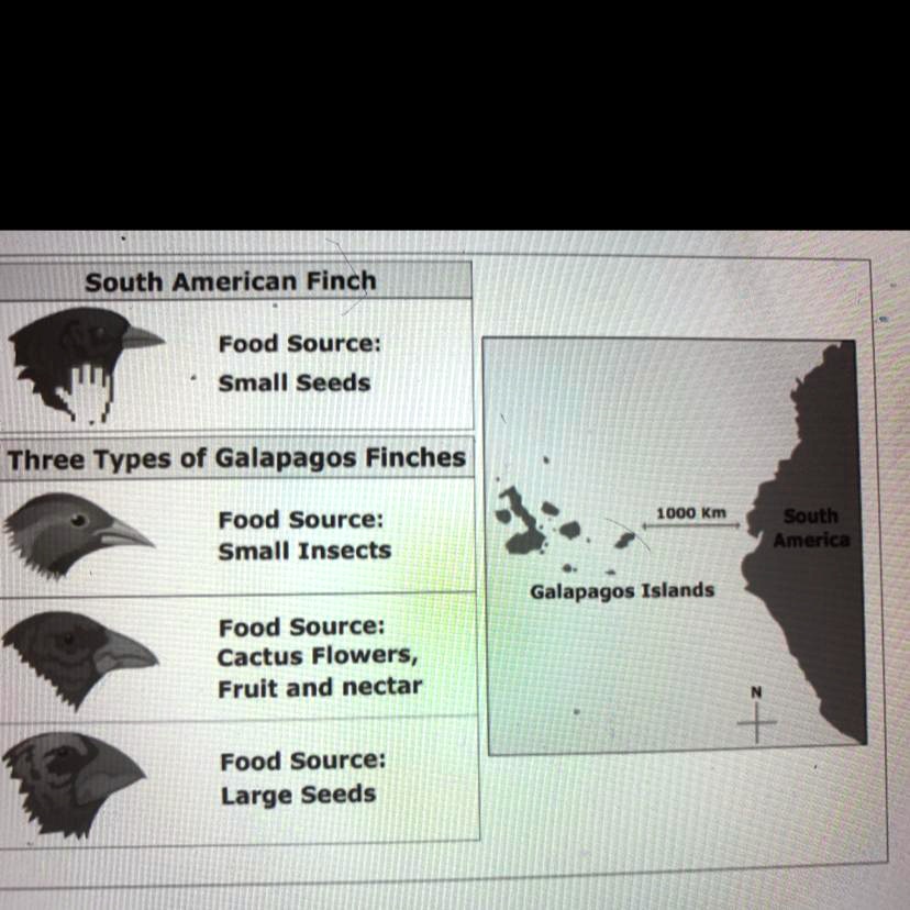 Help please :) Darwin's finches from his studies on the Galapagos ...
