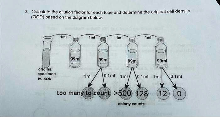 SOLVED: 2. Calculate the dilution factor for each tube and determine ...