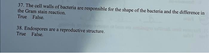 SOLVED: The Gram stain reaction. 37. The cell walls of bacteria are responsible for the shape of ...
