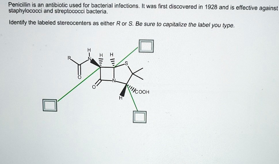 SOLVED: Penicillin is an antibiotic used for bacterial infections. It ...