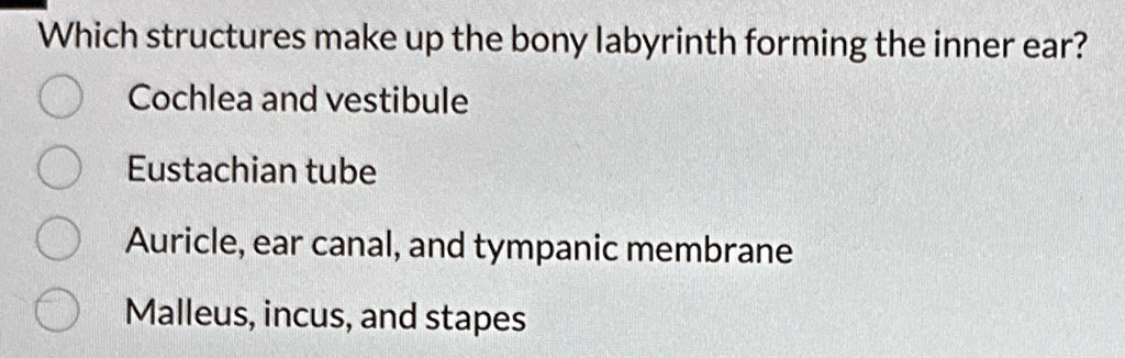 which structures make up the bony labyrinth forming the inner ear ...