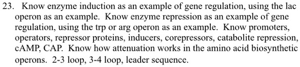 23 know enzyme induction as an example of gene regulation using the lac ...