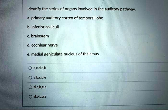 Identify the series of organs involved in the auditory pathway. a ...