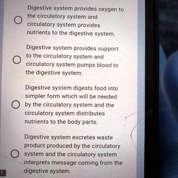 '7. How does digestive system work with circulatory system? Digestive ...