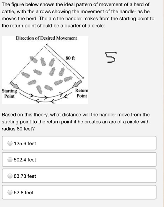 the figure below shows the ideal pattern of movement of a herd of ...