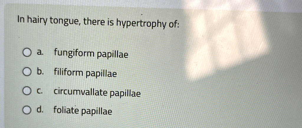 in hairy tongue there is hypertrophy of a fungiform papillae b filiform ...