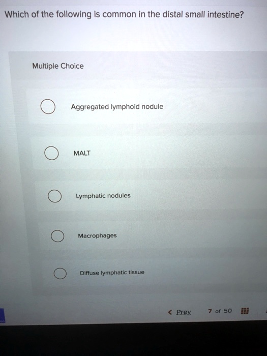 SOLVED: Which of the following is common in the distal small intestine ...
