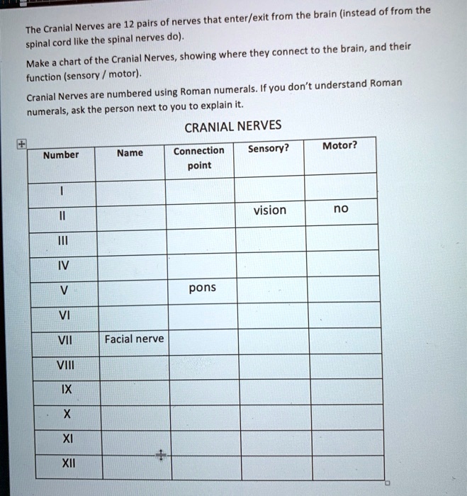 [GET ANSWER] The Cranial Nerves are 12 pairs of nerves that enter/exit ...