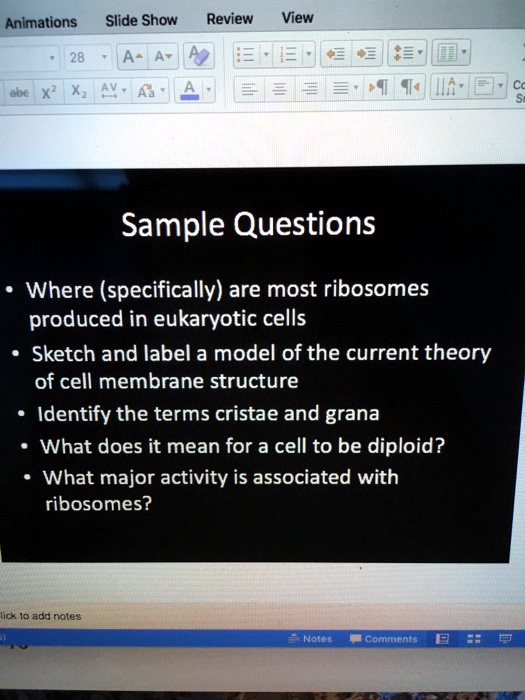 SOLVED:Animations Slide Show Review View Sample Questions Where (specifically) are most ...