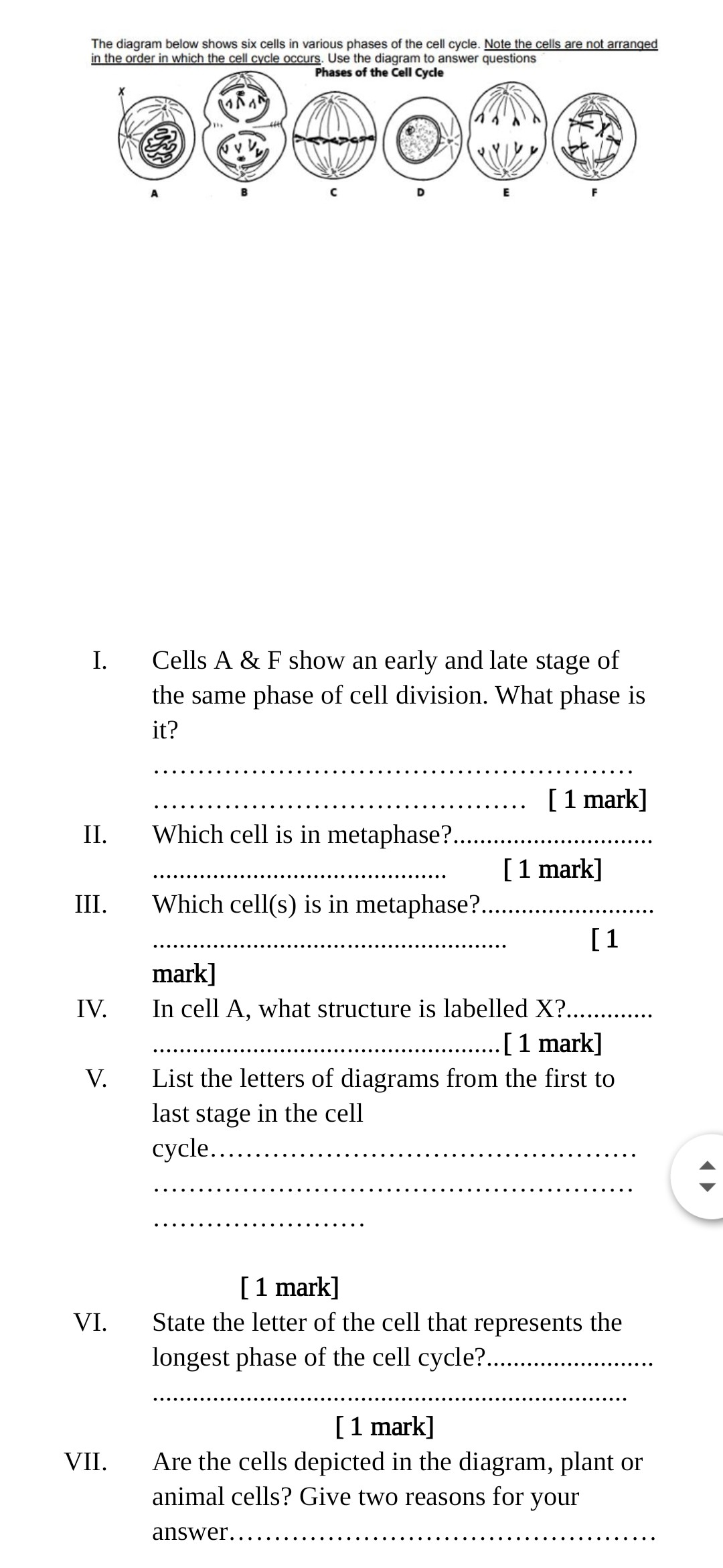 The diagram below shows six cells in various phases of the cell cycle. Note the cells are not ...