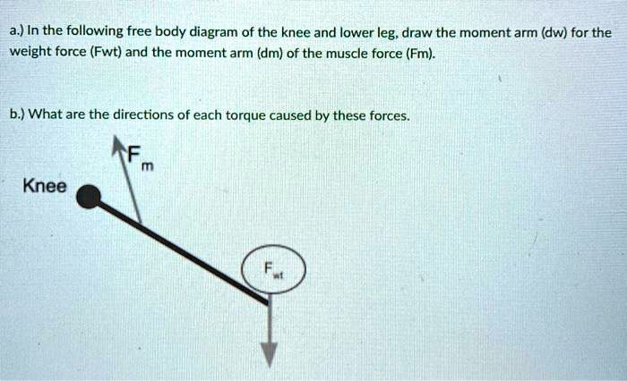 SOLVED:a.) In the following free body diagram of the knee and lower leg ...