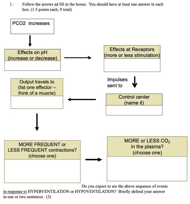 Hyperventilation Anime