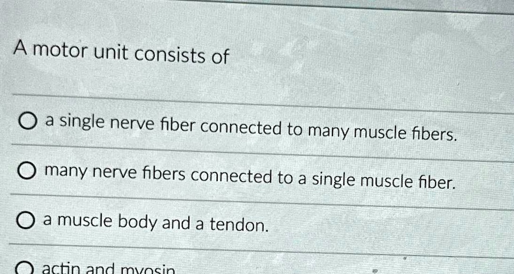 A motor unit consists of O a single nerve fiber connected to many ...