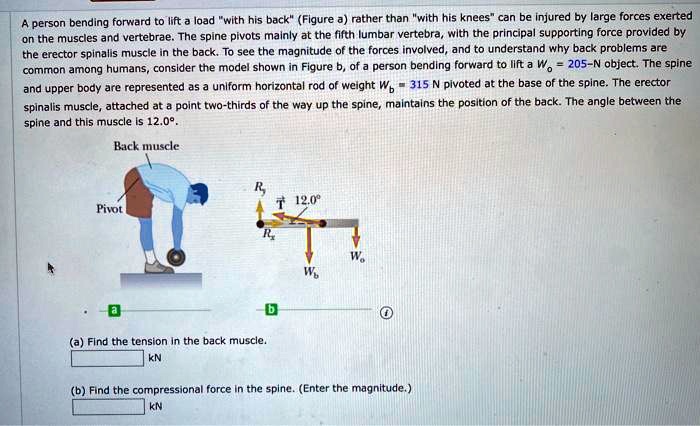 SOLVED:lift a load with his back" (Figure rather than "with his knees ...
