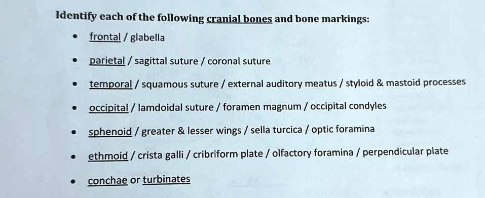 Identify each of the following cranial bones and bone markings ...