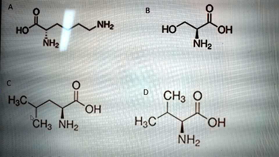 SOLVED: ' NH2 HO OH HO NH2 NH2 H3C OH CH3 NH2 H3C OH NH2