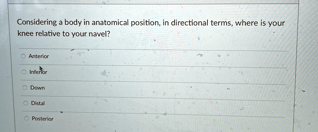 Considering a body in anatomical position, in directional terms, where ...