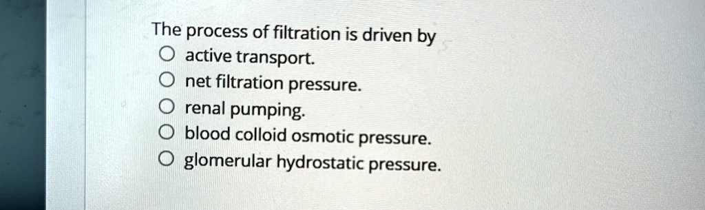 the process of filtration is driven by o active transport o net ...