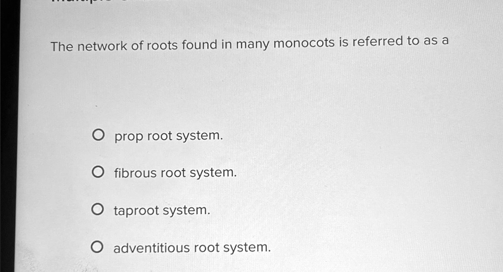 The network of roots found in many monocots is referred to as a prop ...