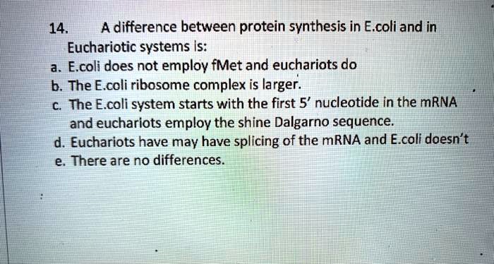 SOLVED: 14 A difference between protein synthesis in E.coli and in ...