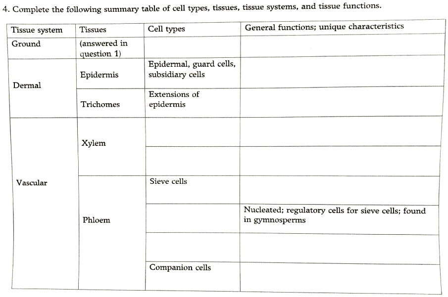 4 complete the following summary table of cell types tissues tissue ...