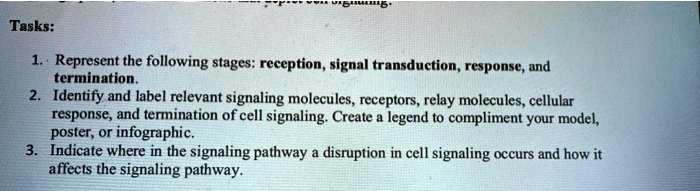 Signal Pathway: Marfan syndrome (FBN1) - Creating a Model for the ...
