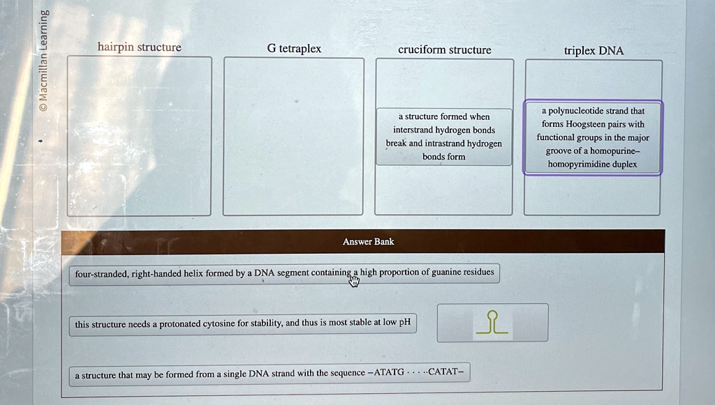 hairpin structure g tetraplex cruciform structure triplex dna answer ...