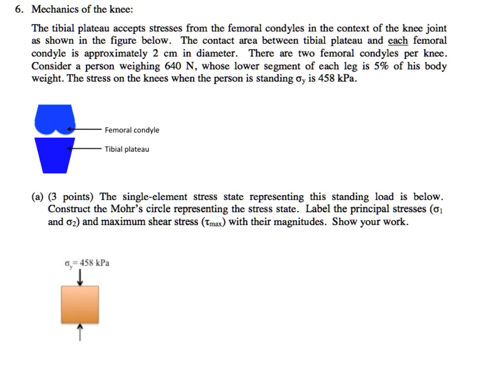 Mechanics of the knee: The tibial plateau accepts stresses from the ...