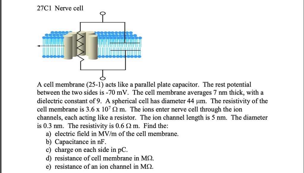 SOLVED: A cell membrane acts like a parallel plate capacitor. The rest potential between the two ...