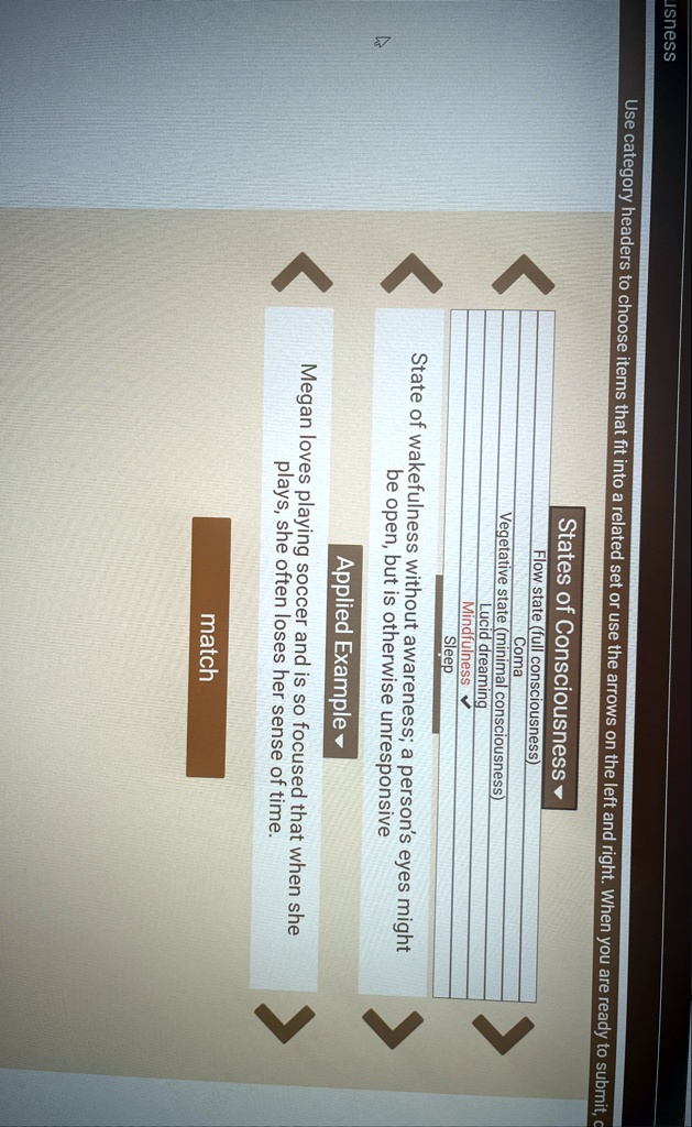states of consciousness flow state full consciousness coma vegetative ...