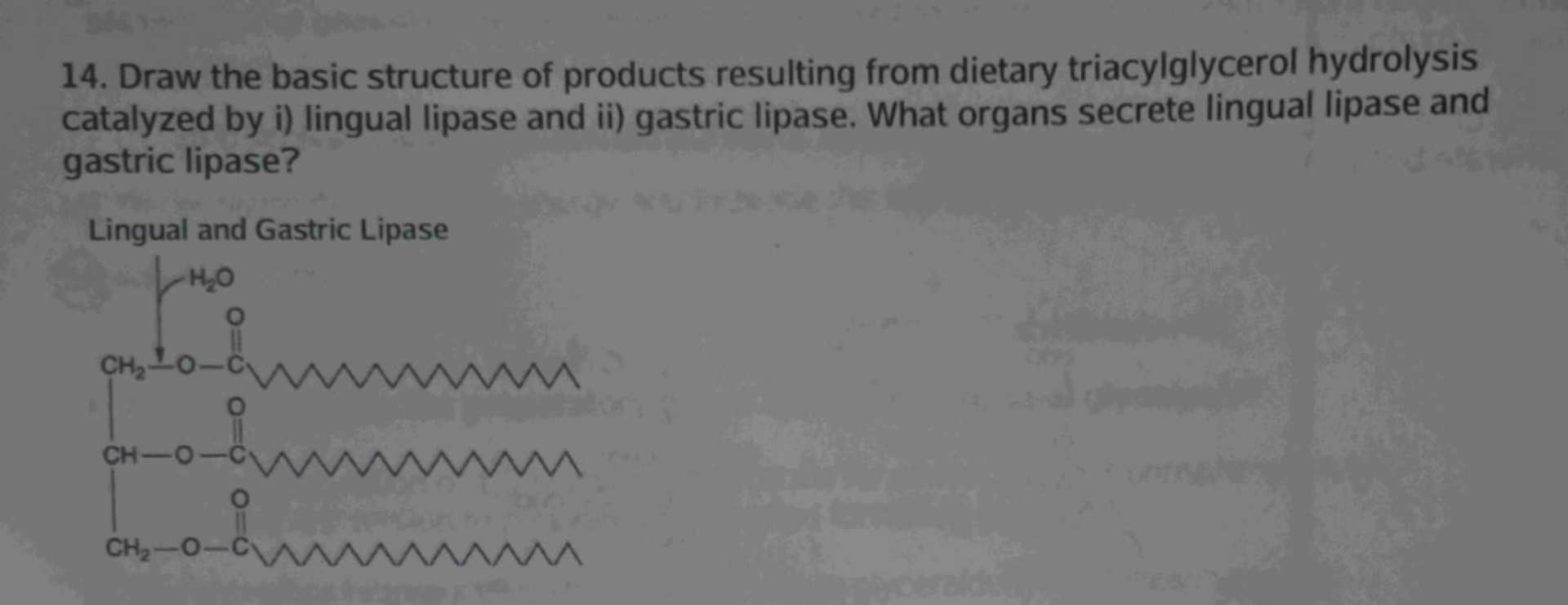 14. Draw the basic structure of products resulting from dietary ...