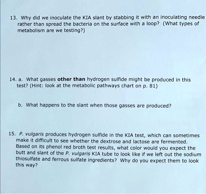 13. Why did we inoculate the KIA slant by stabbing it with an ...