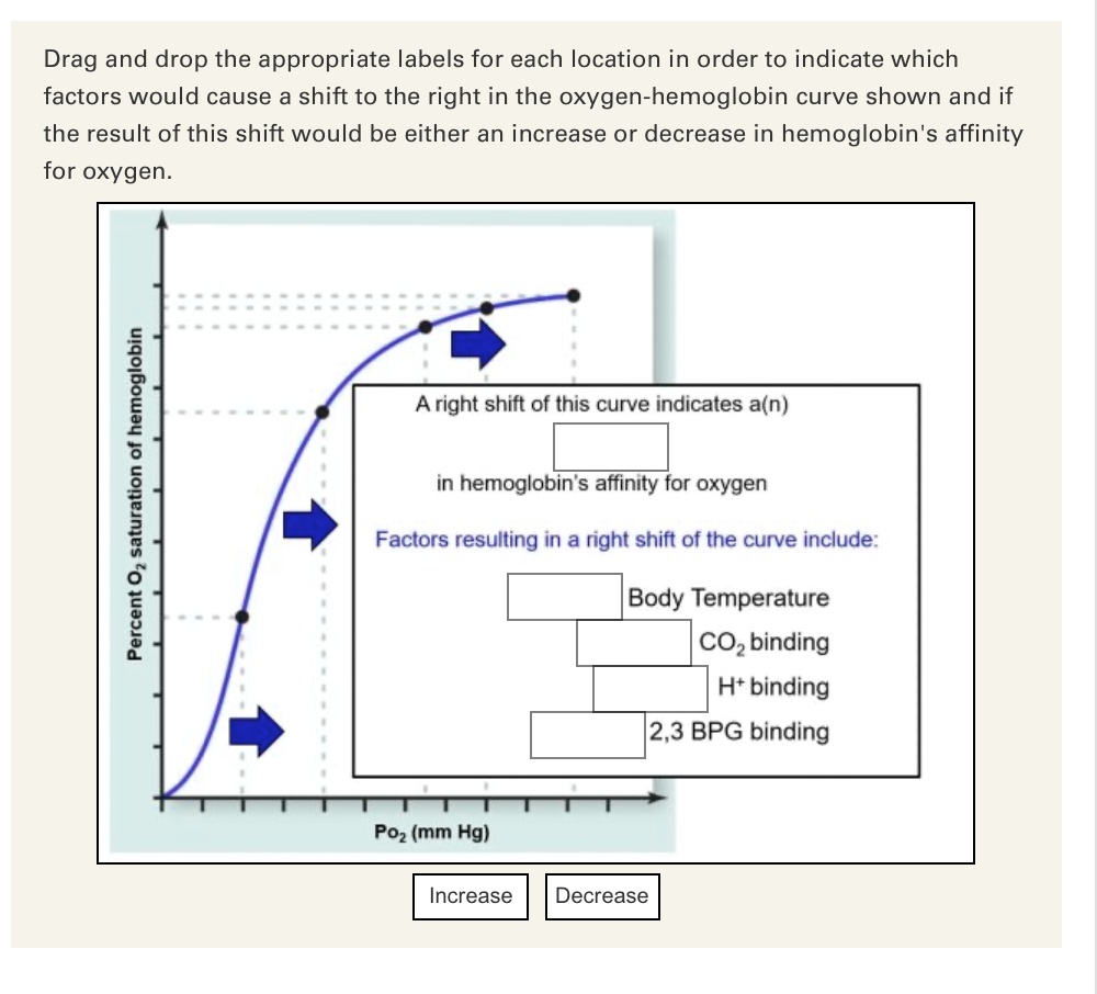 SOLVED: Text: Drag and drop the appropriate labels for each location in ...