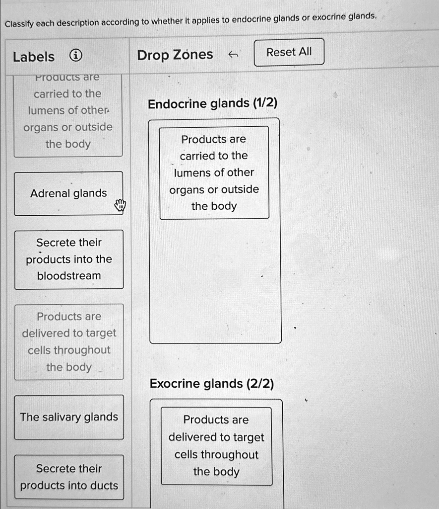 Solved Classify Each Description According To Whether It Applies To Endocrine Glands Or