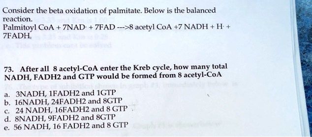 SOLVED:Consider the beta oxidation of palmitate Below is the balanced ...