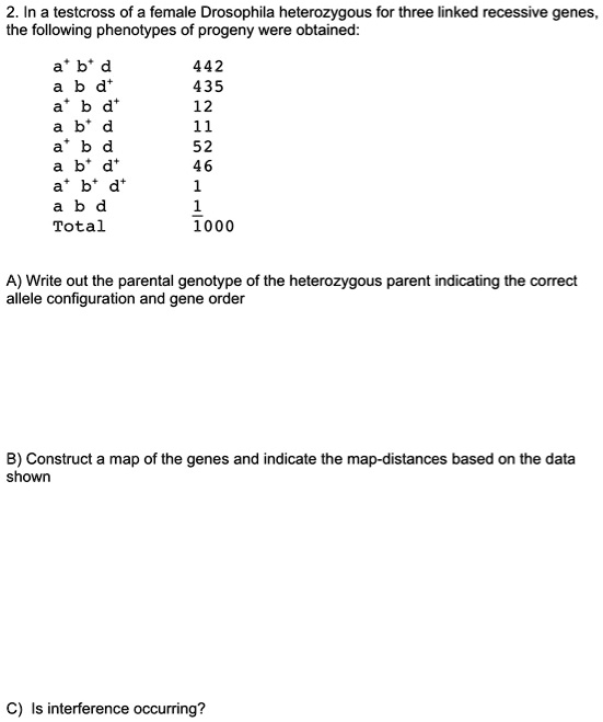 Solved 2 In A Testcross Of Female Drosophila Heterozygous For Three Linked Recessive Genes The