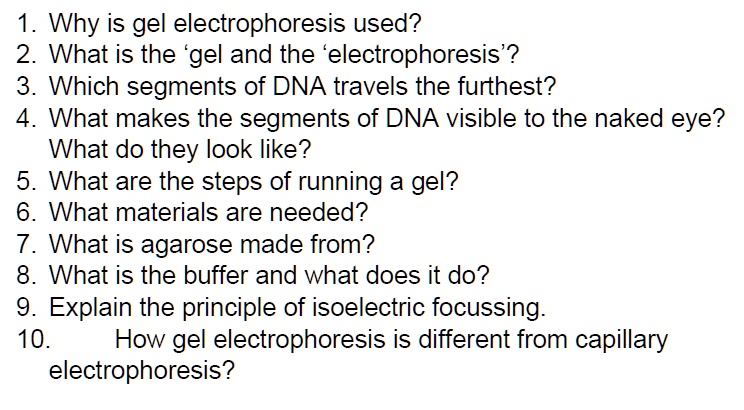 1 why is gel electrophoresis used 2 what is the gel and the ...