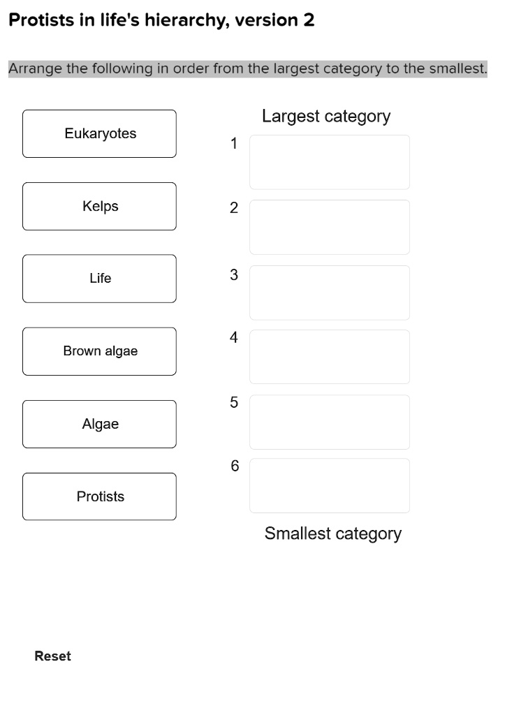 Protists in life's hierarchy, version 2 Arrange the following in order ...