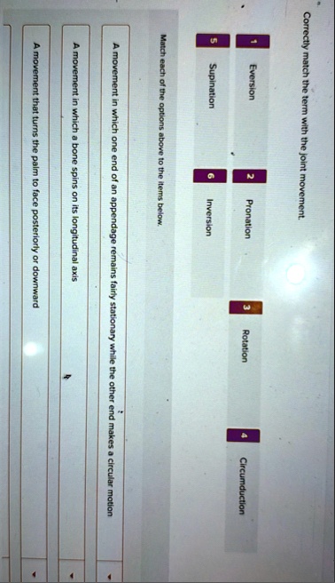 correctly match the term with the joint movement 1 eversion 2 pronation 5 supination 6 inversion ...