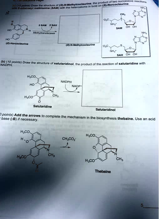 559 (20 pomis) Draw the structure of (S)-N-Methylcoclaurine, the ...