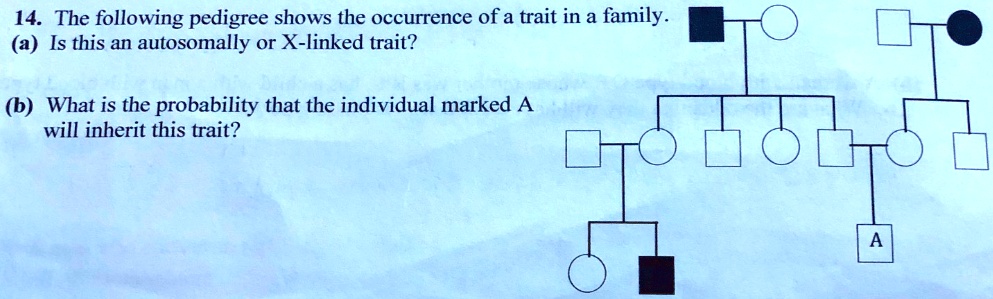 SOLVED: 14. The following pedigree shows the occurrence of a trait in a family (a) Is this an ...