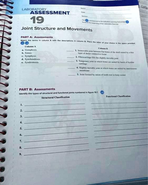 SOLVED: LABORATORY ASSESSMENT Dune Sect 19 Joint Structure and ...