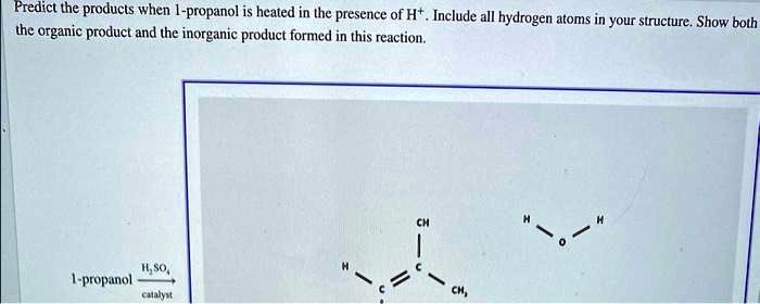 Predict the products when l-propanol is heated in the presence of H2SO4 ...