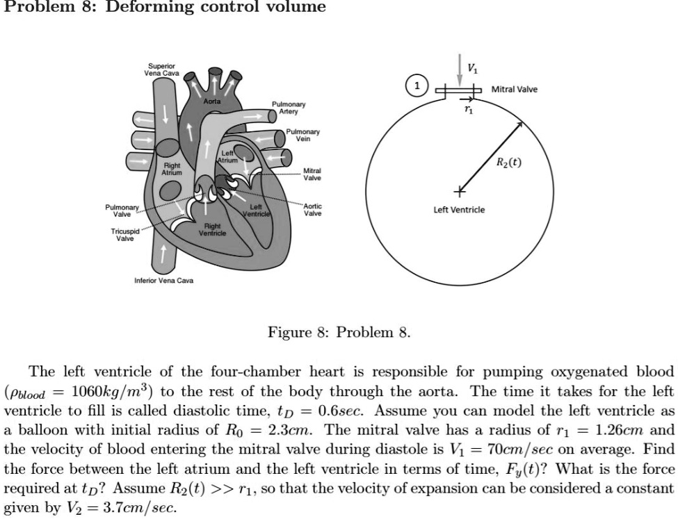 SOLVED: Problem 8: Deforming control volume Superior Vena Cava Mitral ...