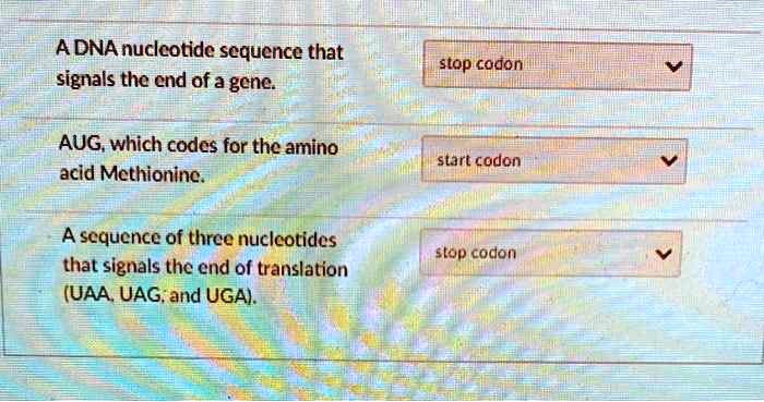 SOLVED: A DNA nucleotide sequence that signals the end of a gene: stop ...