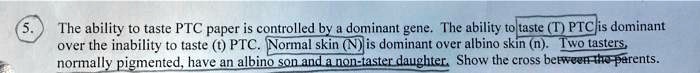 SOLVED: The ability to taste PTC paper is controlled by dominant gene ...