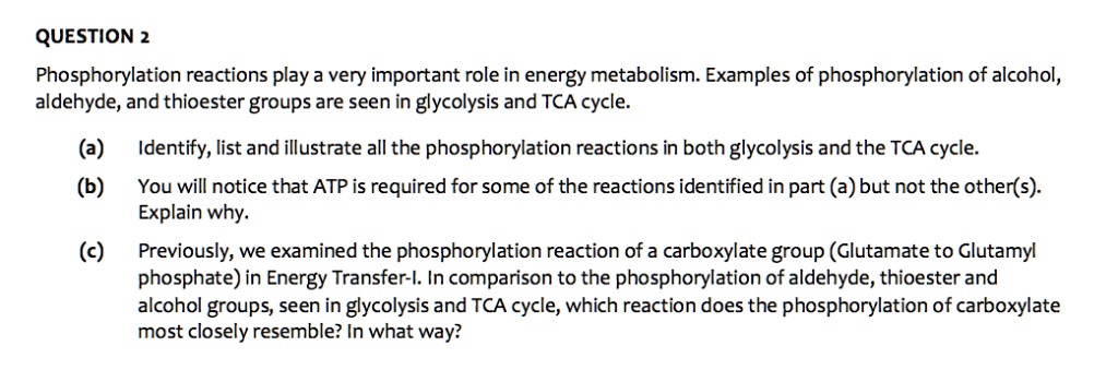 QUESTION 2 Phosphorylation reactions play a very important...
