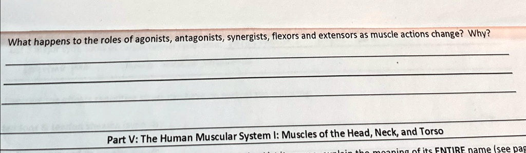 what happens to the roles of agonists antagonists synergists flexors ...