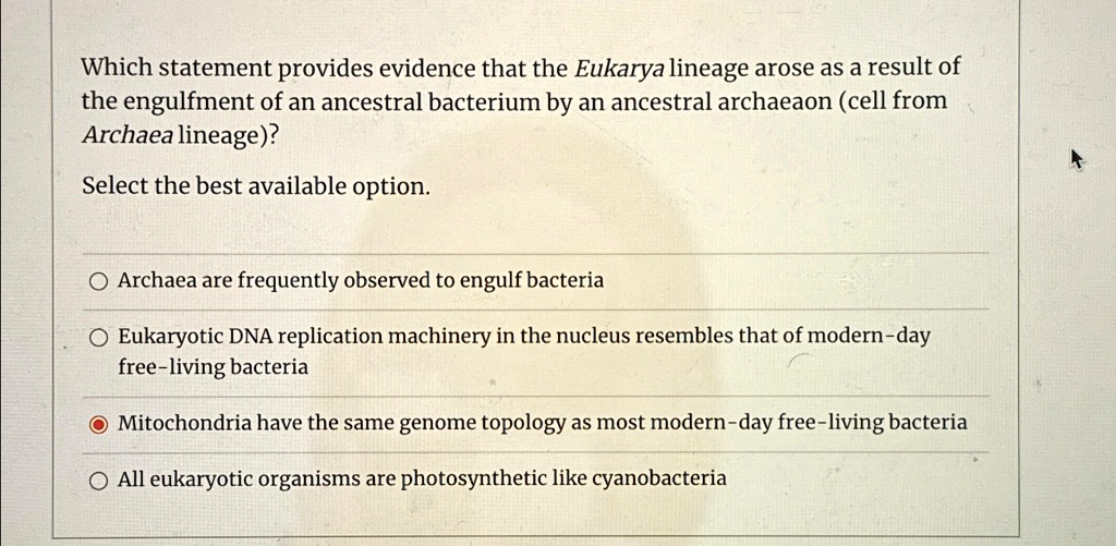 Which statement provides evidence that the Eukarya lineage arose as a ...