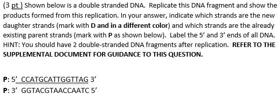 SOLVED: Shown below is a double-stranded DNA fragment. Replicate this ...
